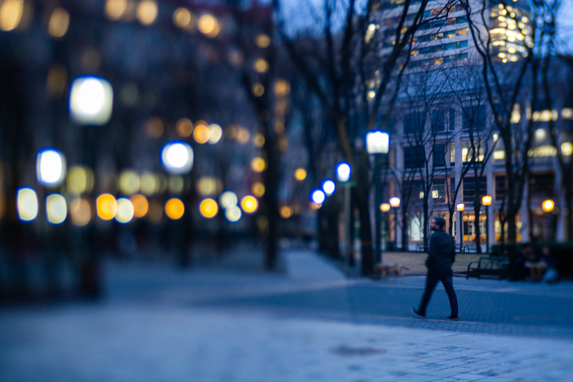 35 Photos Through the Lensbaby Edge 35 | B&H eXplora