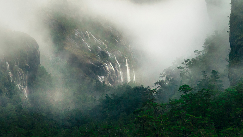 Rachel Jones Ross: 100 Nights of Photos Under the Clouds, Part 3 | B&H ...