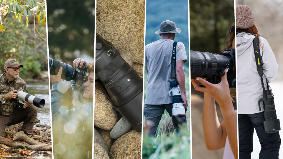 Year in Review: Super Telephoto Lenses | B&H eXplora