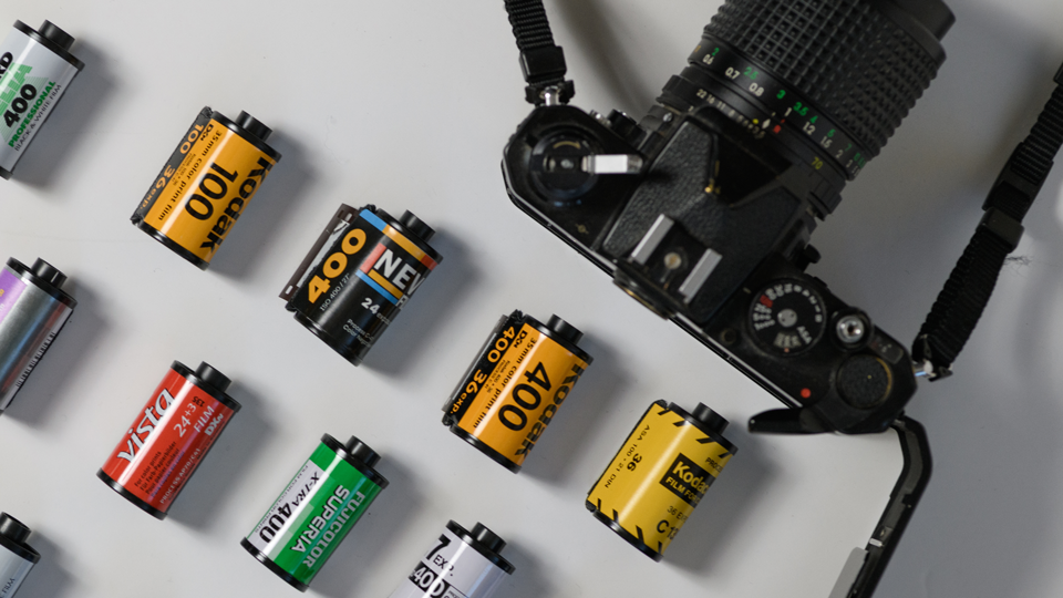 What Is Your Favorite Film and Camera Combination? | B&H eXplora