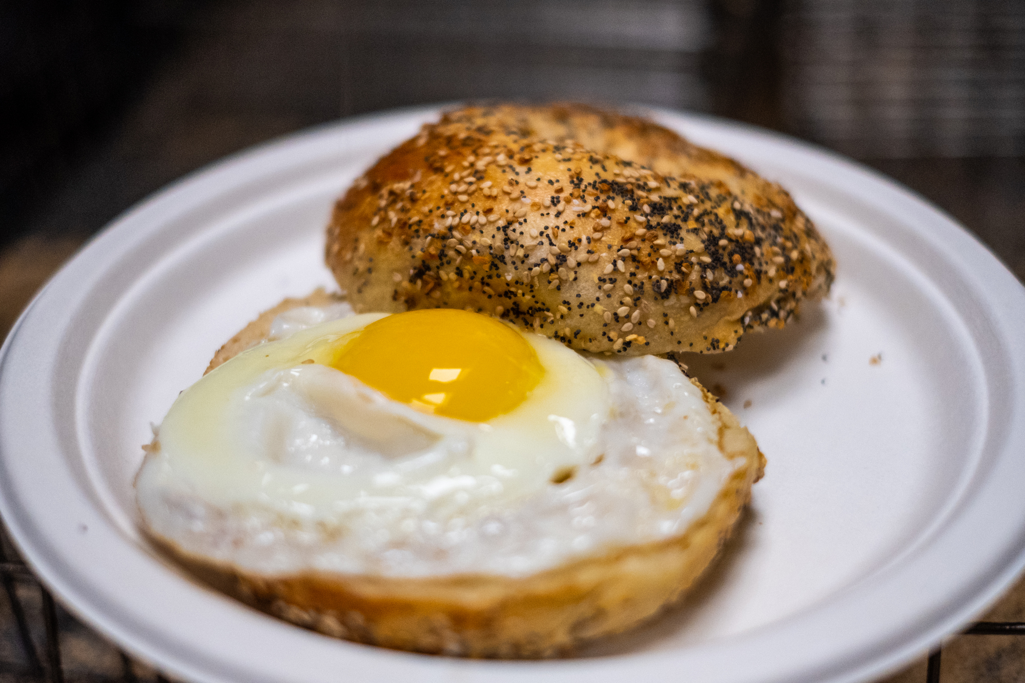 Prime Lenses & Bagels: FUJIFILM X-T2, Brooklyn Bagel & Coffee Company ...