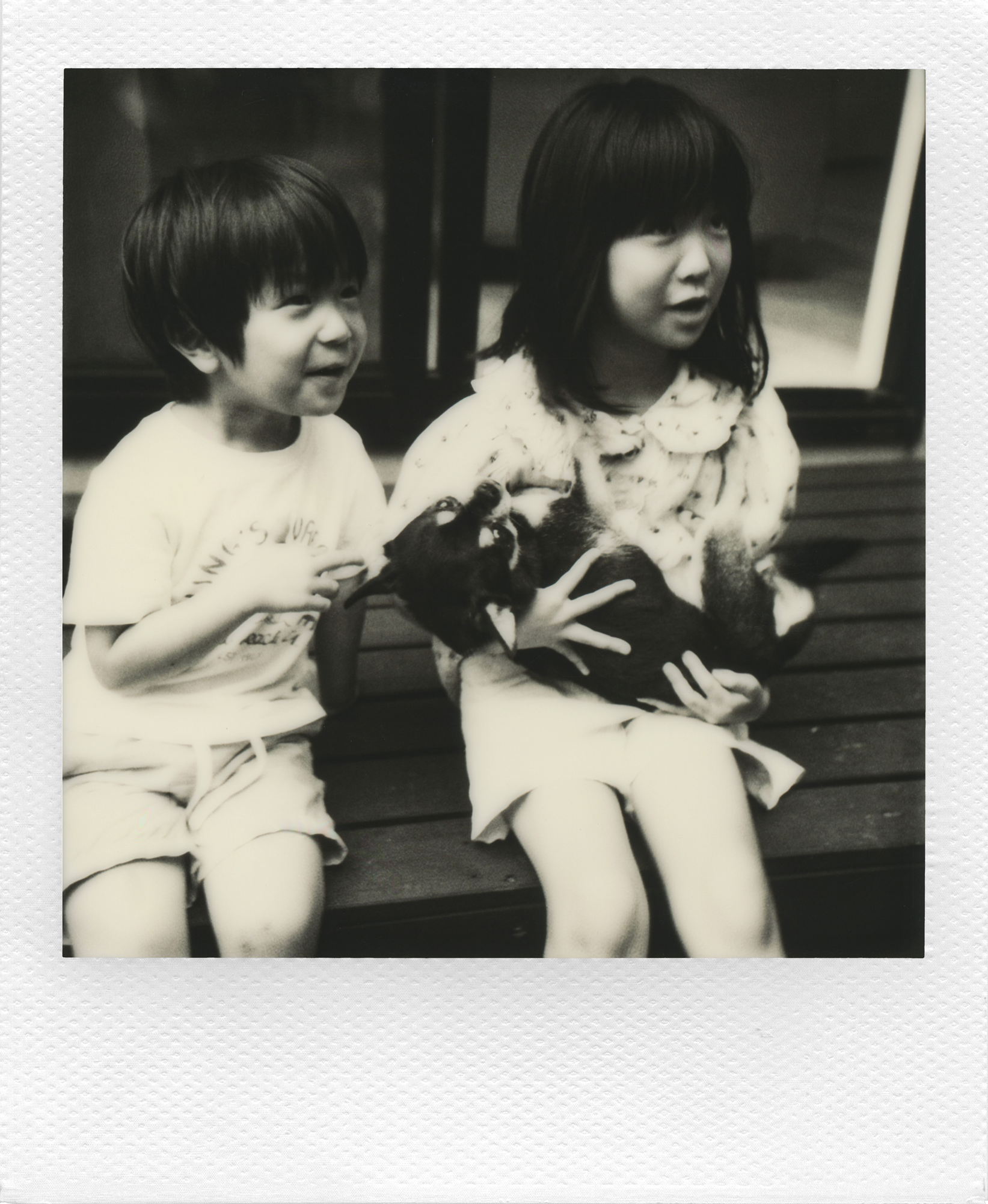 Polaroid Announces the I-2 Camera with Built-In Manual Controls | B&H ...