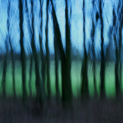 Intentional Camera Movement Photography, Part 2: Gear and Technical | B ...