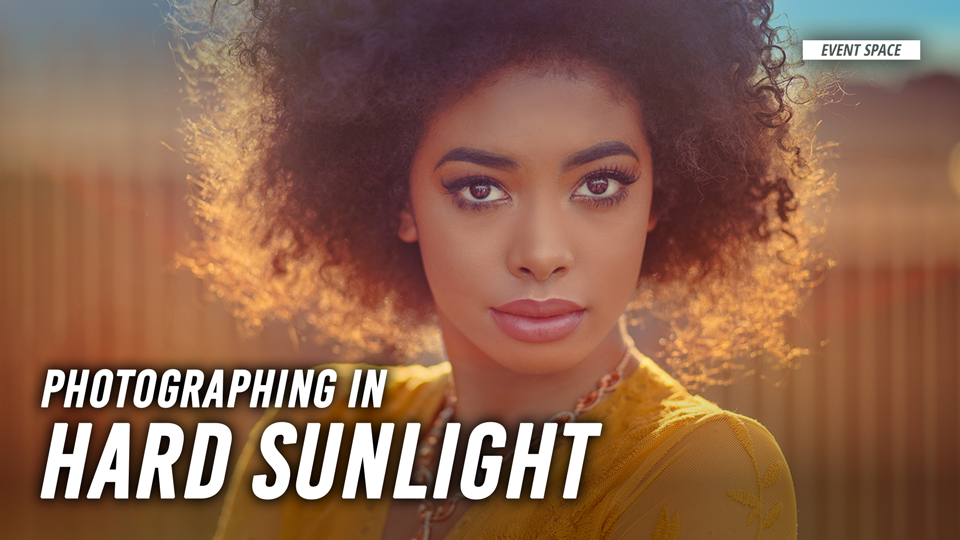 Techniques for Photographing in Hard Light | B&H eXplora