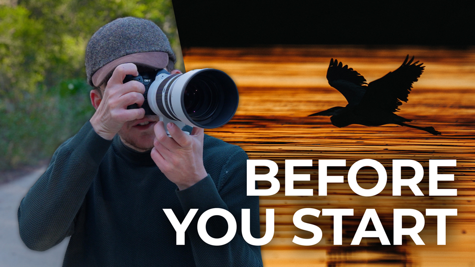 Everything Beginners Should Know Before Trying Bird Photography | B&H ...