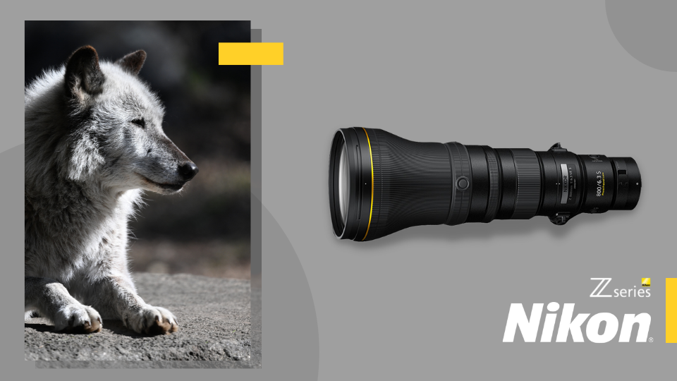 Balancing Long Reach and Light Weight: Announcing the Nikon Z 800mm f/6 ...