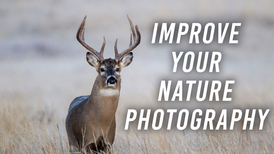 Improve Your Nature Photography, Without Your Camera | B&H eXplora